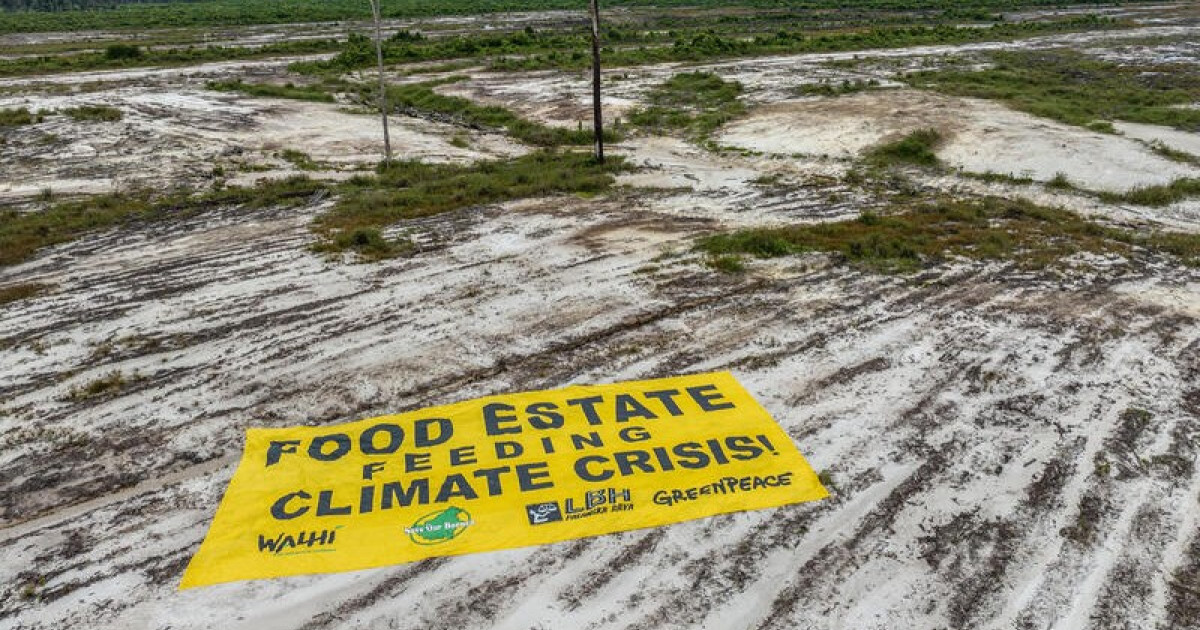 “Coba Lagi” Proyek Food Estate di Indonesia - GoodStats