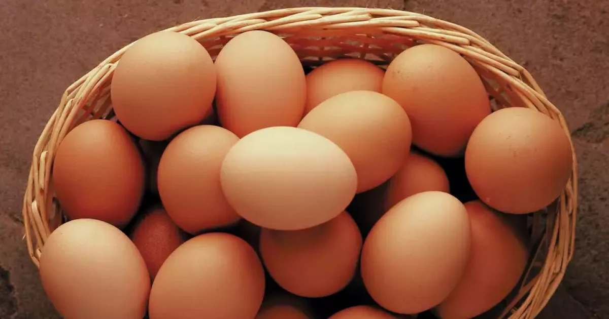 Update Harga Telur Hari Ini 30 April 2025 untuk Wilayah Jakarta, Jawa Timur, dan Yogyakarta ...