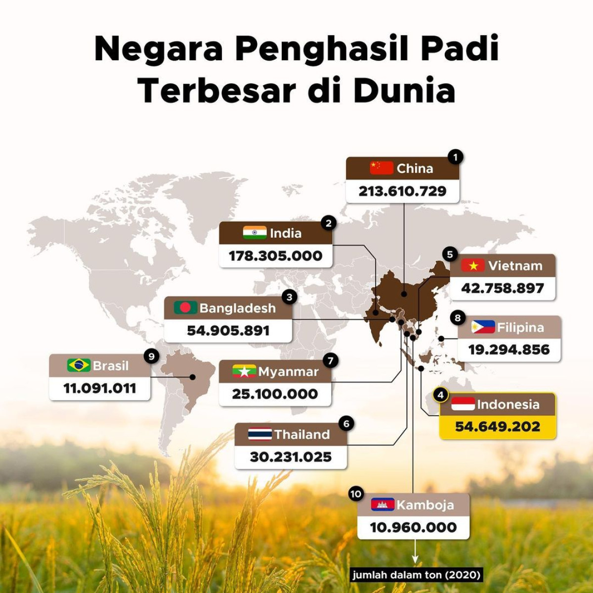 Negara Penghasil Padi Terbesar di Dunia - GoodStats Negara Penghasil Padi Terbesar di Dunia - GoodStats