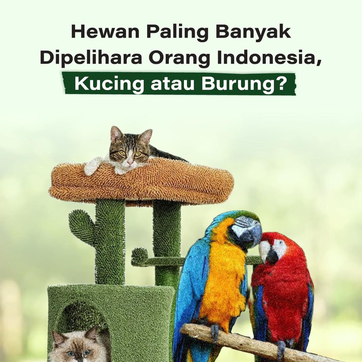 Hewan Paling Banyak Dipelihara Orang Indonesia, Kucing atau Burung ...