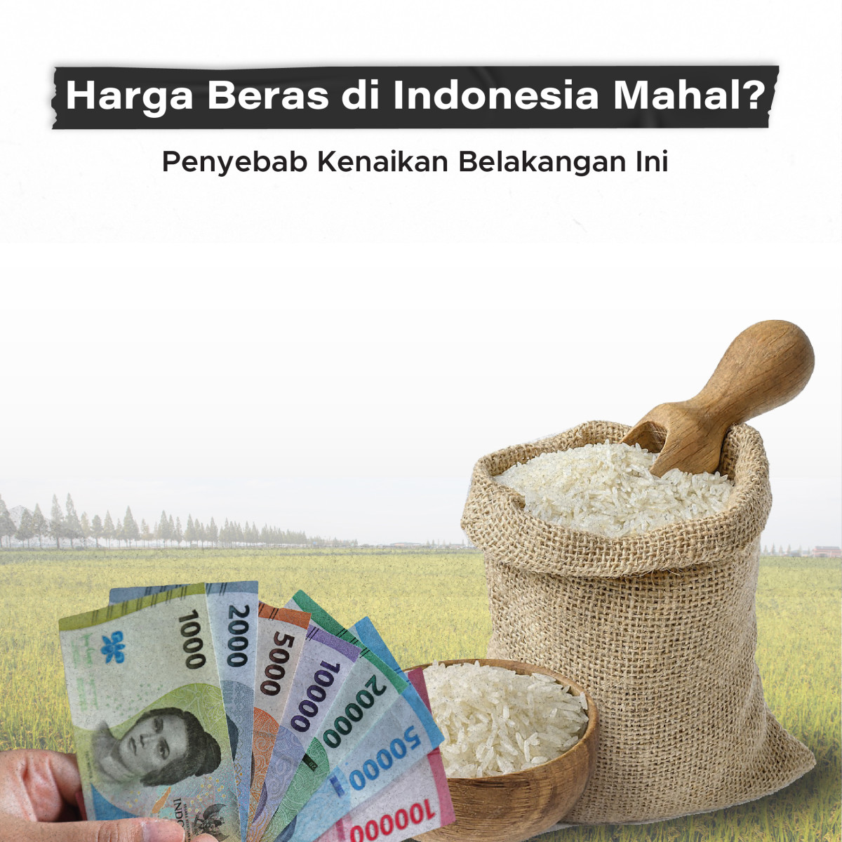 Harga Beras di Indonesia Mahal? Penyebab Kenaikan Belakangan Ini - GoodStats
