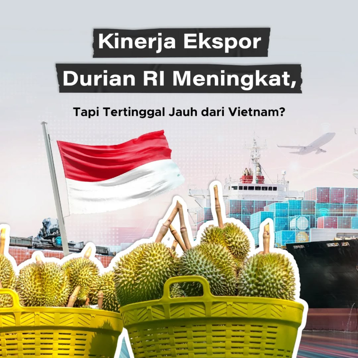 Kinerja Ekspor Durian RI Meningkat, tapi Tertinggal Jauh dari Vietnam ...