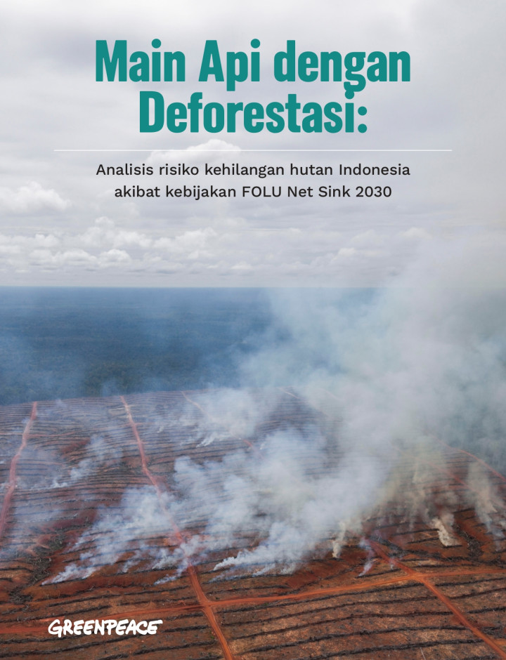 "Main Api dengan Deforestasi: Analisis risiko kehilangan hutan ...
