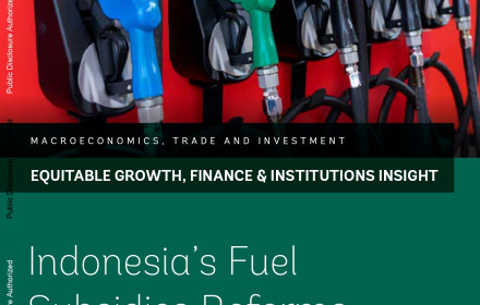 Indonesia’s Fuel Subsidies Reforms - GoodStats